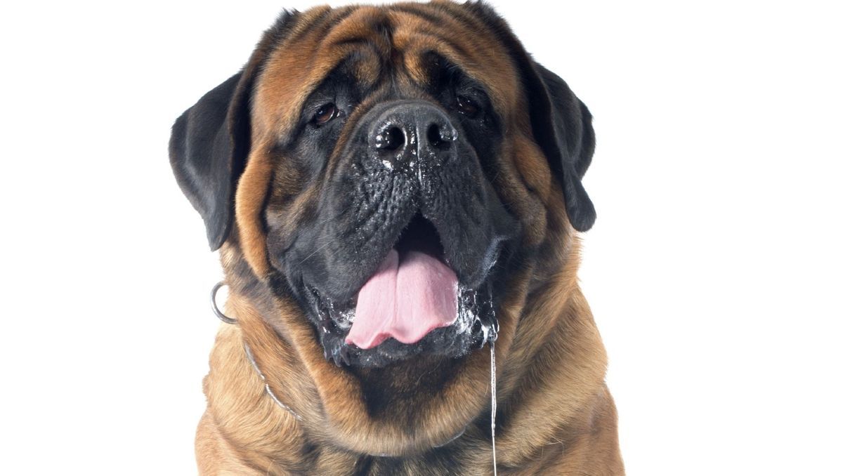 Humidification - Définition, signification et exemples sur MegaDico